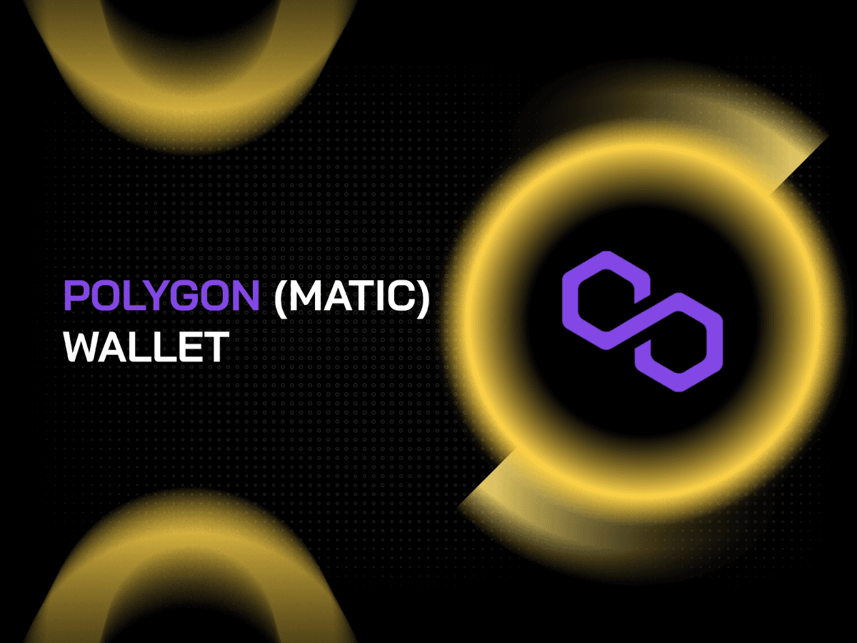What Is Polygon Wallet? How To Use Polygon Wallet (2022)